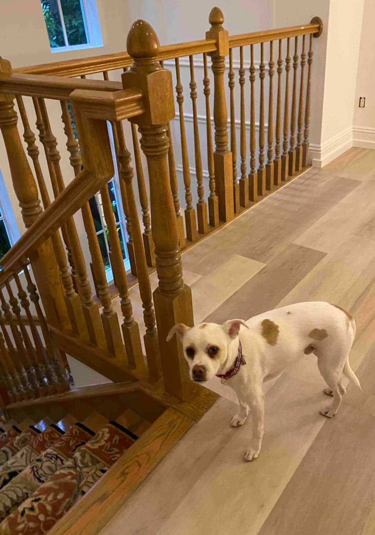 7 Steps To A Modern Tuscan Staircase Renovation – Engineering Plans